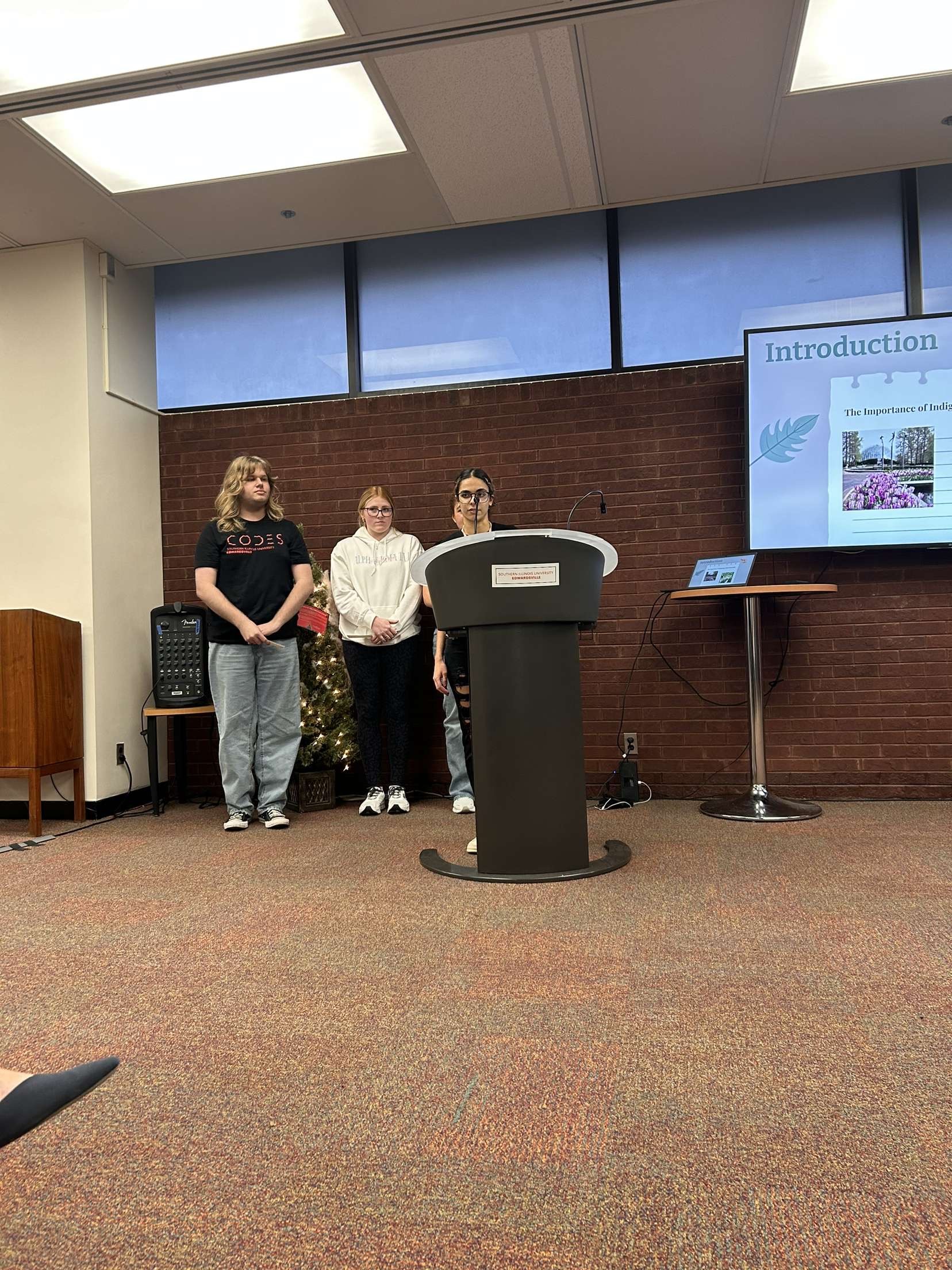 My Journey – Evitt Nashed