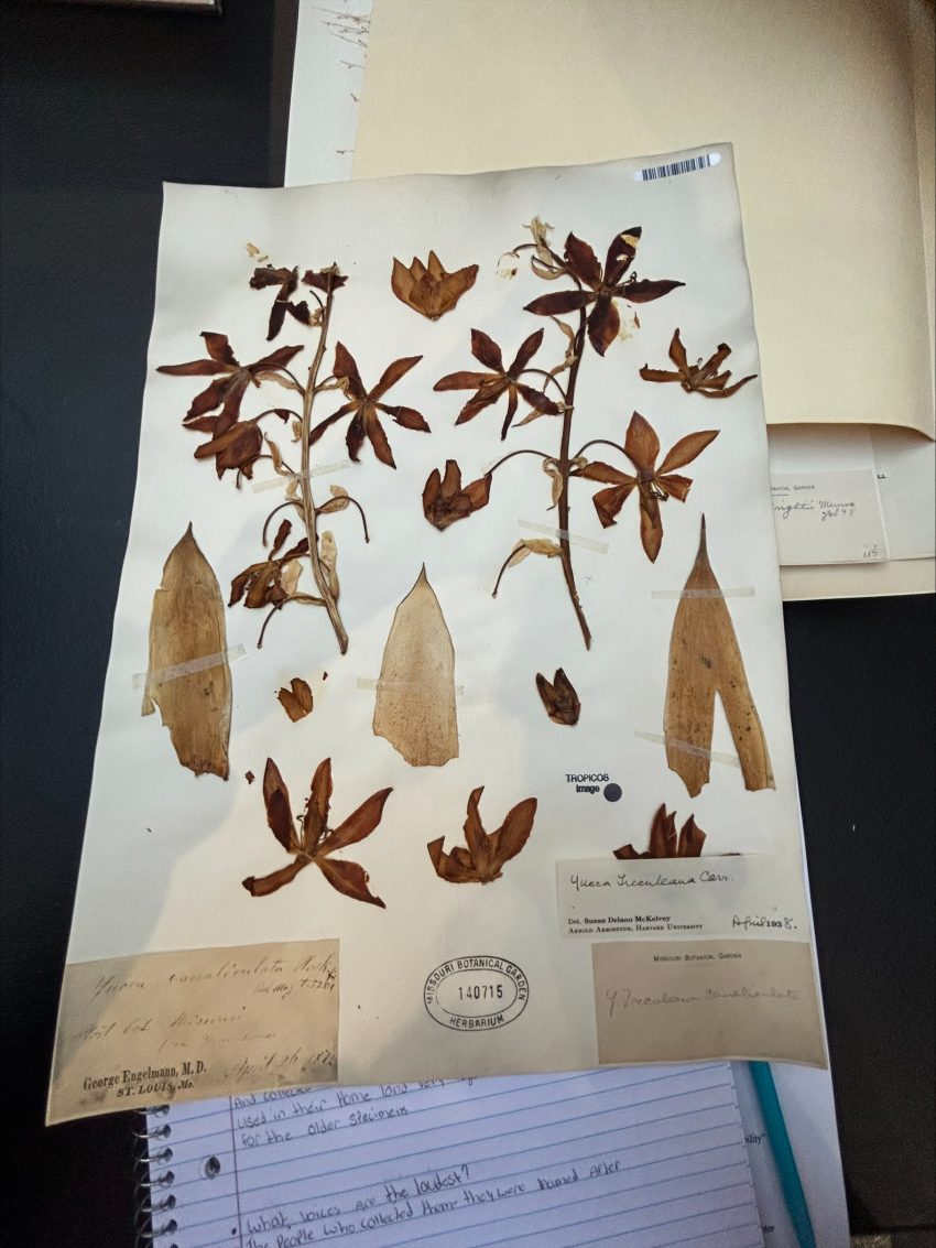 Class Portfolio – Kyra Williams